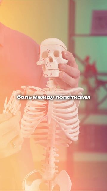 Скелет плохого не посоветует 😄 5 упражнений, чтобы разгрузить спину. #боливспине #массаж