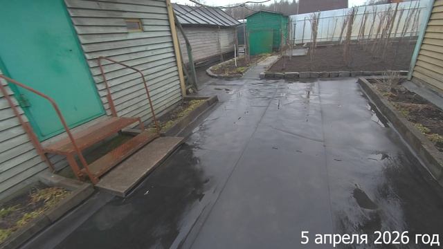 7 соток. На улице дождь, на даче все растет. Хроника 5 апреля 2026 год