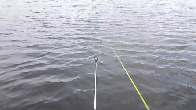 Сегодня порыбачил на короткую удочку🎣 Насадка тесто, прикормка дробленка. Клёв хороший.