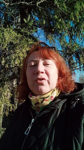 Николай Рубцов "Ось".