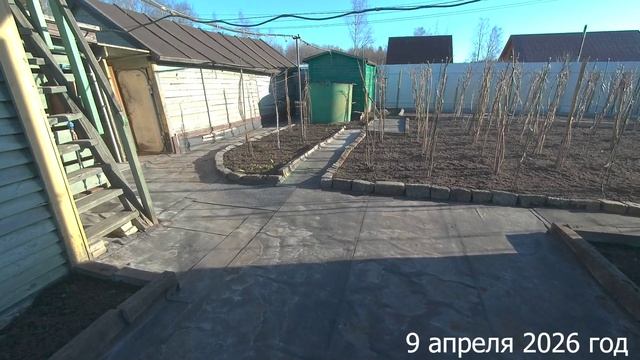 7 соток. Укрыла землю от сорняков. Хроника 9 апреля 2026 год.