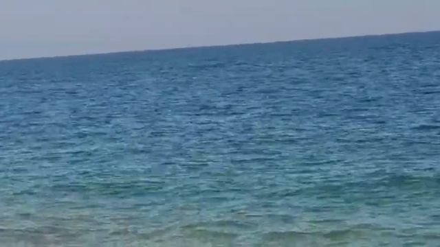 Дельфины за песчаной косой. Море. Кояшское озеро.