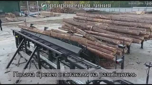 Линия сортировки бревен