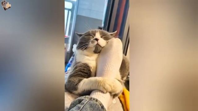 ТОЛЬКО 1% ДОСМОТРИТ ДО КОНЦА 😊