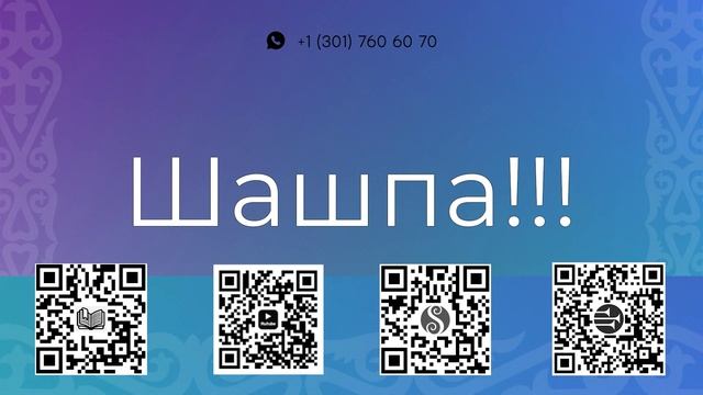 11 04 Шашпа