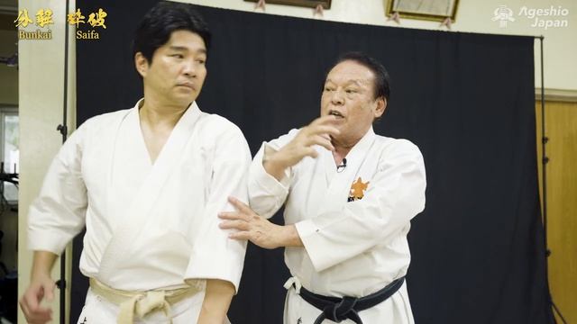 Karate Kata ｜ Saifa Bunkai Explained ｜ Okinawa Karate Grand Master ｜ Ageshio Japan