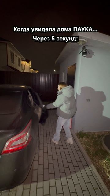 Когда увидела ПАУКА в доме