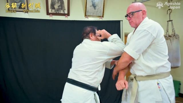 Karate Kata ｜ Seiyunchin Bunkai ｜ Follow along with a Grand Master ｜ Ageshio Japan