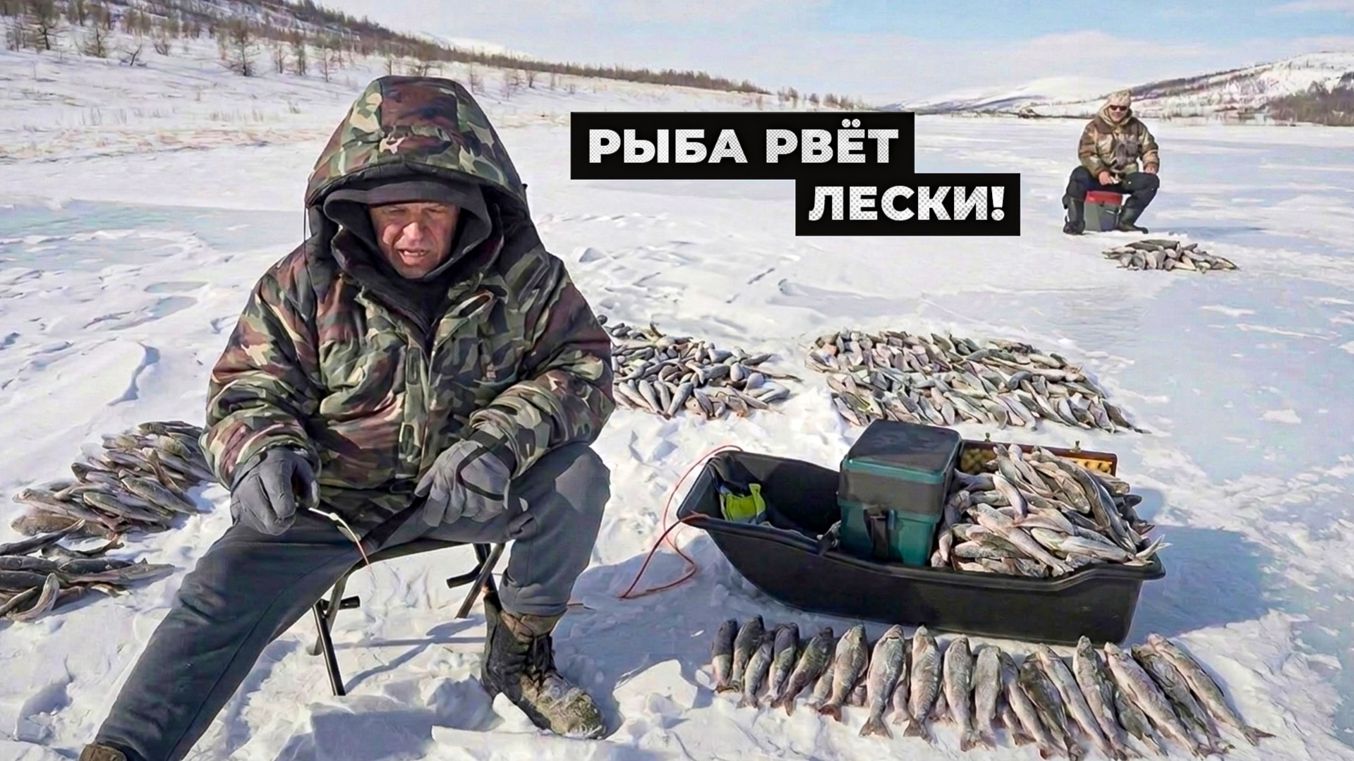 ХАРИУС ПРОТИВ ОПЫТА: РЫБА РВЕТ ЛЕСКИ! С ПОЛЕМ!