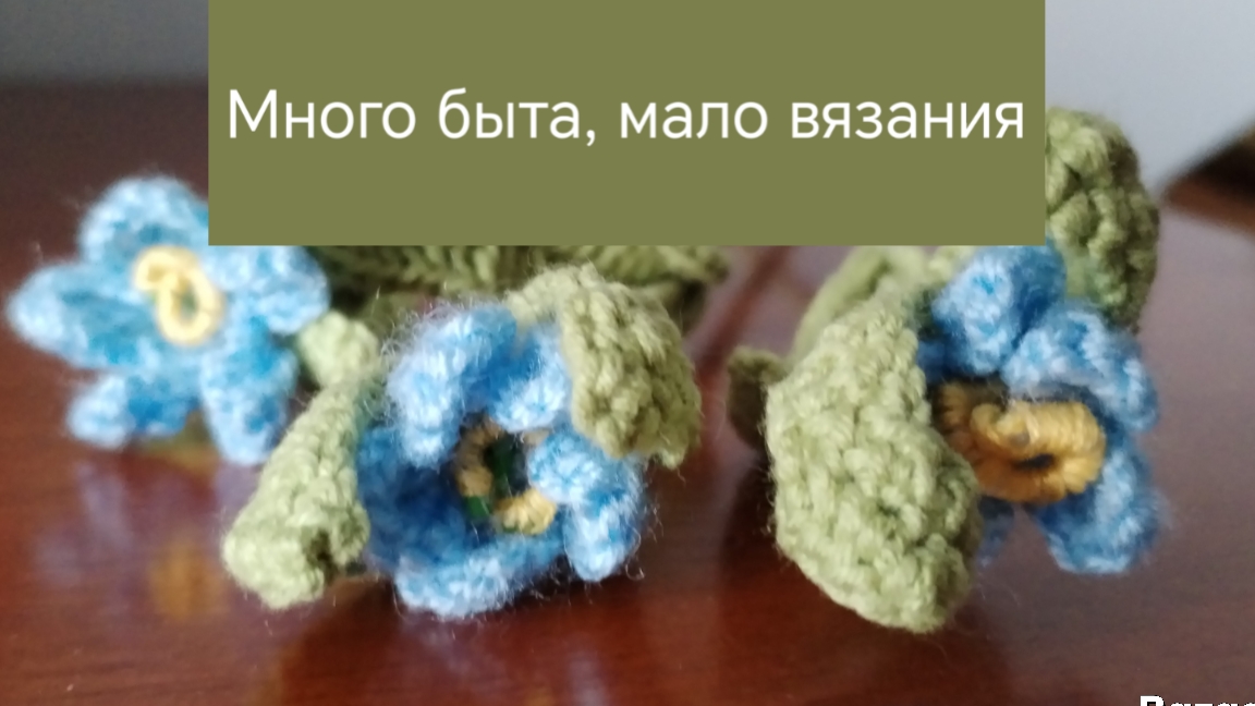 Быт, цветочки, вязание, отчет в "Бешеные крючки 10"