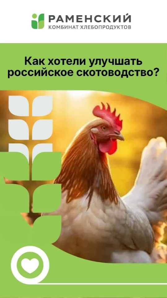 Как улучшить российское скотоводство?