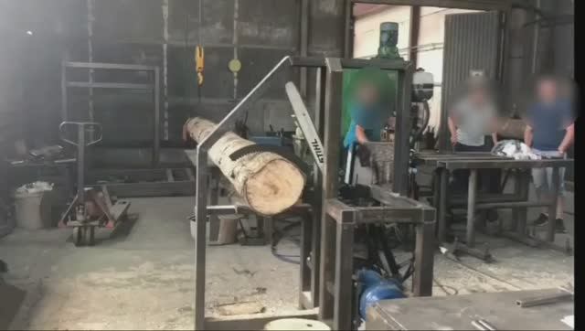 Раскряжевочно-торцовочный узел пилит как по маслу