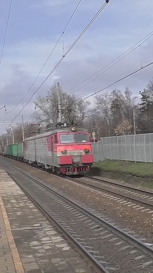 Электровоз ВЛ11-130 (ТЧЭ-1) следует с грузовым поездом № ХХХХ.