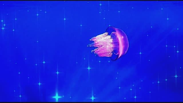 Танец медуз