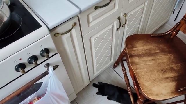 Судьба Дусечки под вопросом