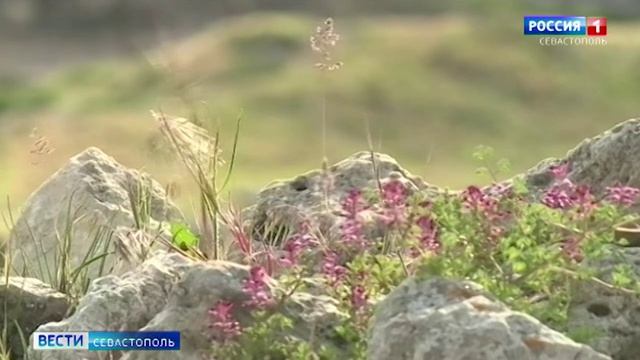 Вести Севастополь. Выпуск 09:30 от 14.04.2026