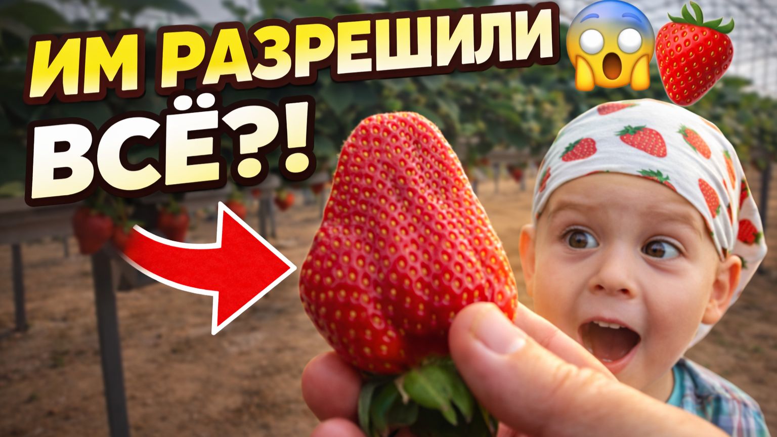 Такого мы не ожидали! Сбор клубники в теплице🍓