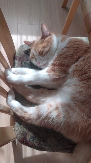 Здоровый сон