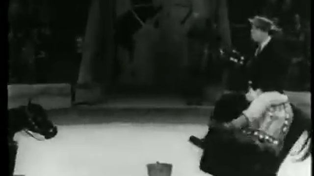 Юрий Никулин и Михаил Шуйдин. Лошадки.