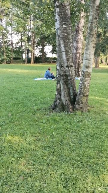 VID_20250812_165625.mp4