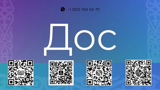 13 04 Дос
