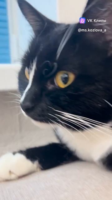 Дон Бутуз 😎