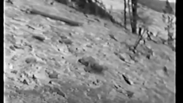 «Врезка». 1977 год.