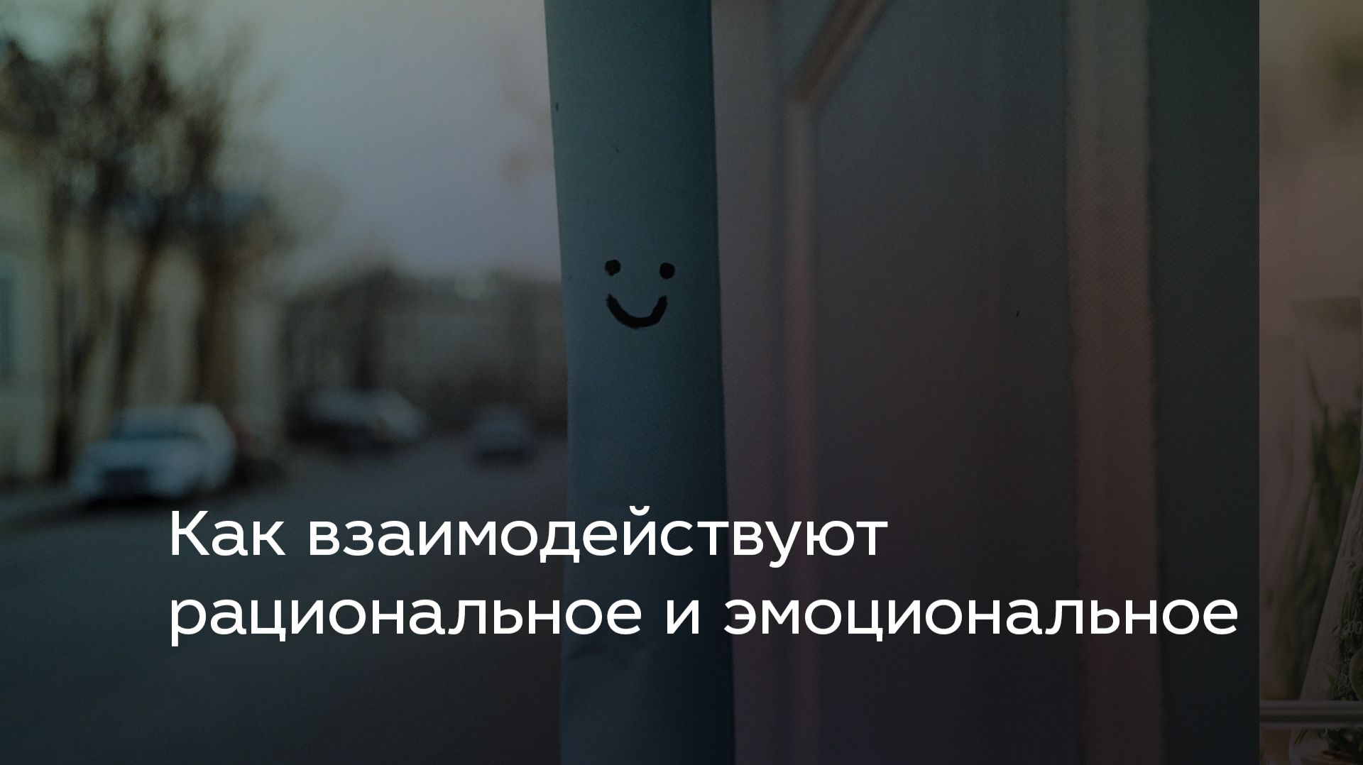 Как взаимодействуют рациональное и эмоциональное