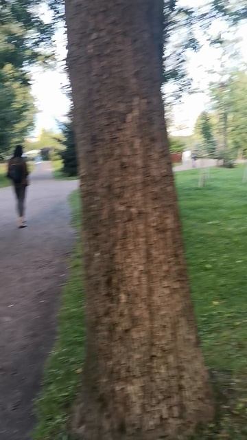 VID_20250812_165551.mp4