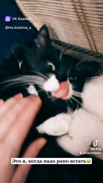 Ранним утром «любишь» всех вокруг