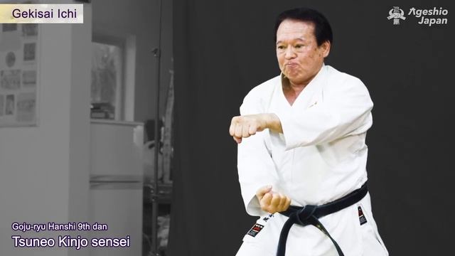 Goju-ryu Karate Kata ｜ Gekisai Ichi ｜ Okinawa Karate Grand Master ｜ Ageshio Japan