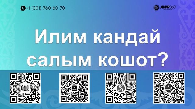 29 04 Илим кандай салым кошот