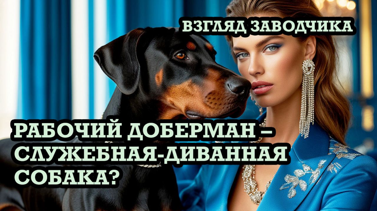 Рабочий доберман. Питомник служебных собак породы доберман - Lord Svarog. Москва-Россия.