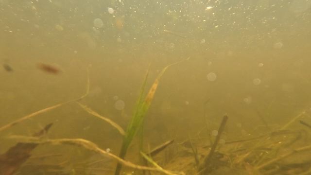 Как убрать воду с дачного участка по-этапно.
