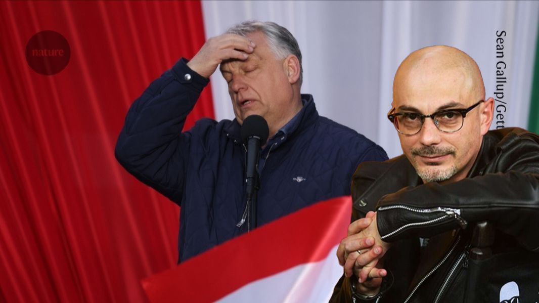 Армен Гаспарян - Венгерский урок