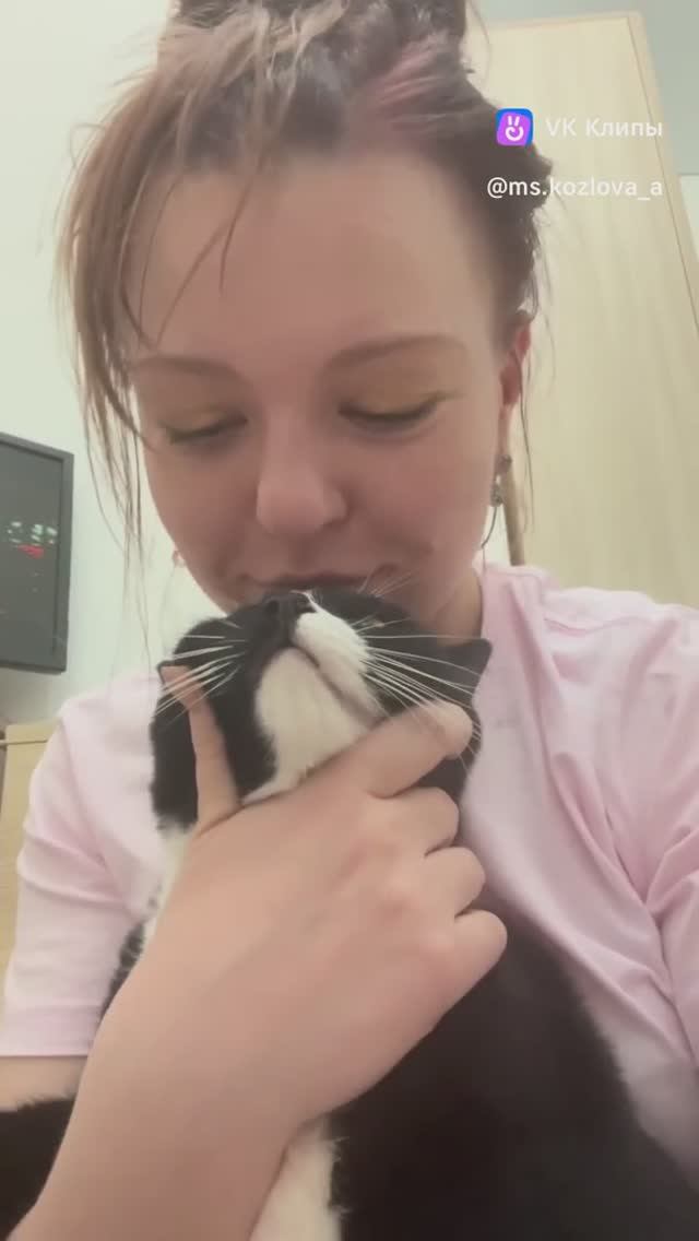 Кот, который подорвал мое доверие