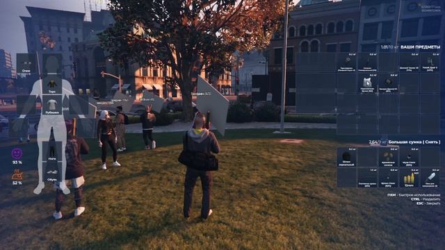Ехал на дальняк, оказался на пикете. GTA 5 RP