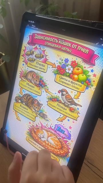 Быть умным модно. Софья Сухих 142, 2 класс