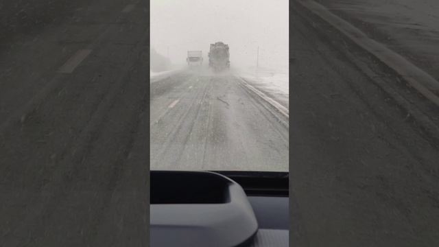 РВФ '26 Иннополис + Волжская Булгария