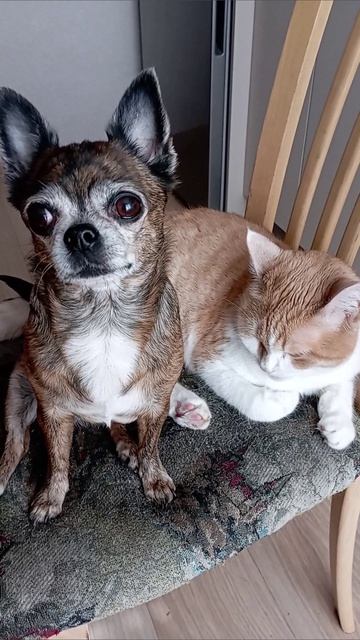 Какикие секреты красоты-генетика