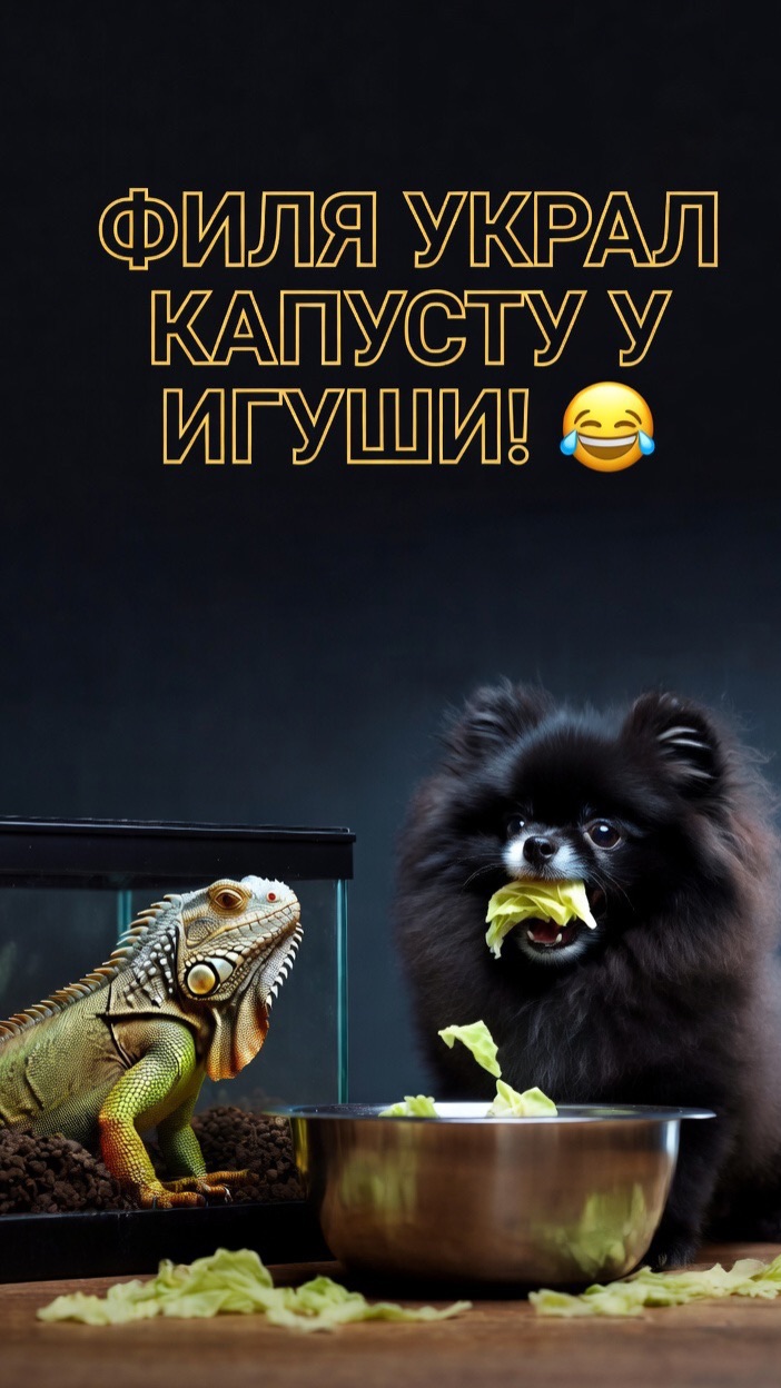 Филя украл у игуаны капусту 😳😂