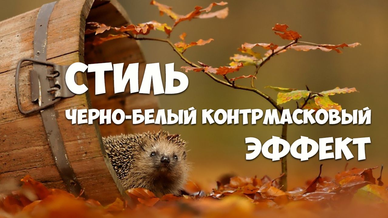 Стиль Контрмасковый эффект черно-белый для слайд-шоу