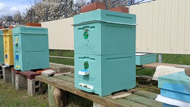 окончание попытки вытянуть семейку без матки