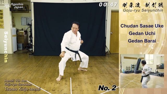 Karate Kata ｜ Seiyunchin, a Grand Master shows you ｜ Practice with a Grand Master ｜ Ageshio Japan