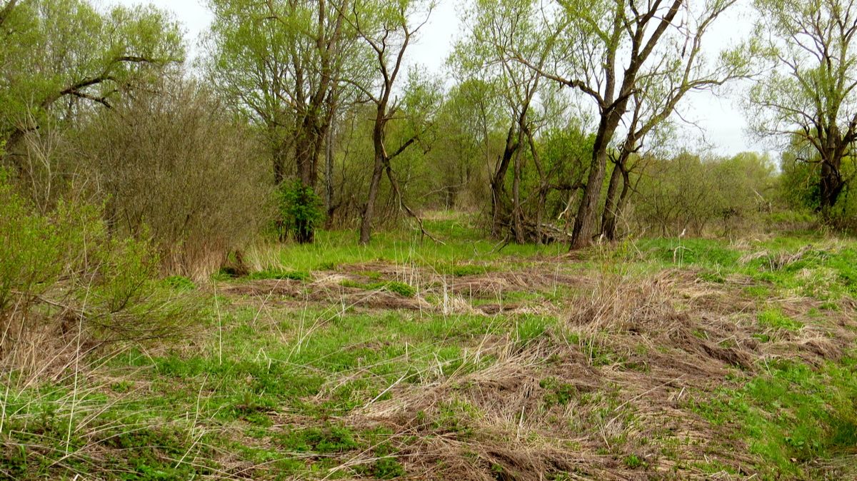 Начало мая 2025 года