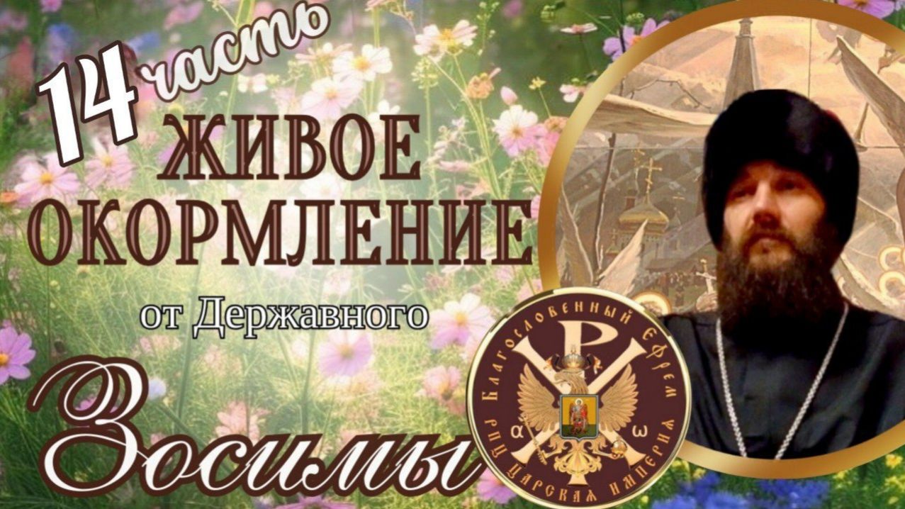 Живое кормление. Часть 14