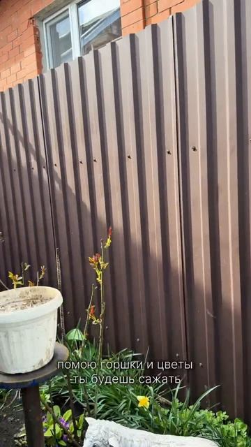 В огороде у бабушки 🪏🧑🌾🏡