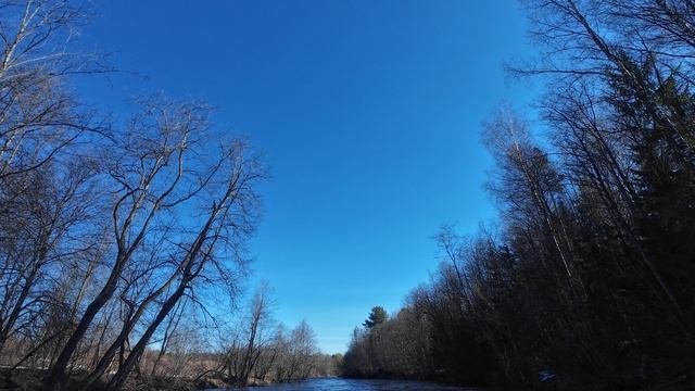 Река Комёла - 15.04.2026