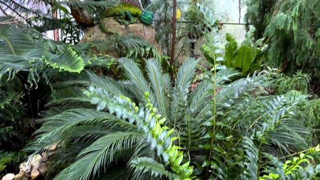 Необычные растения Красновишерск_07.04.2026_СольТВ