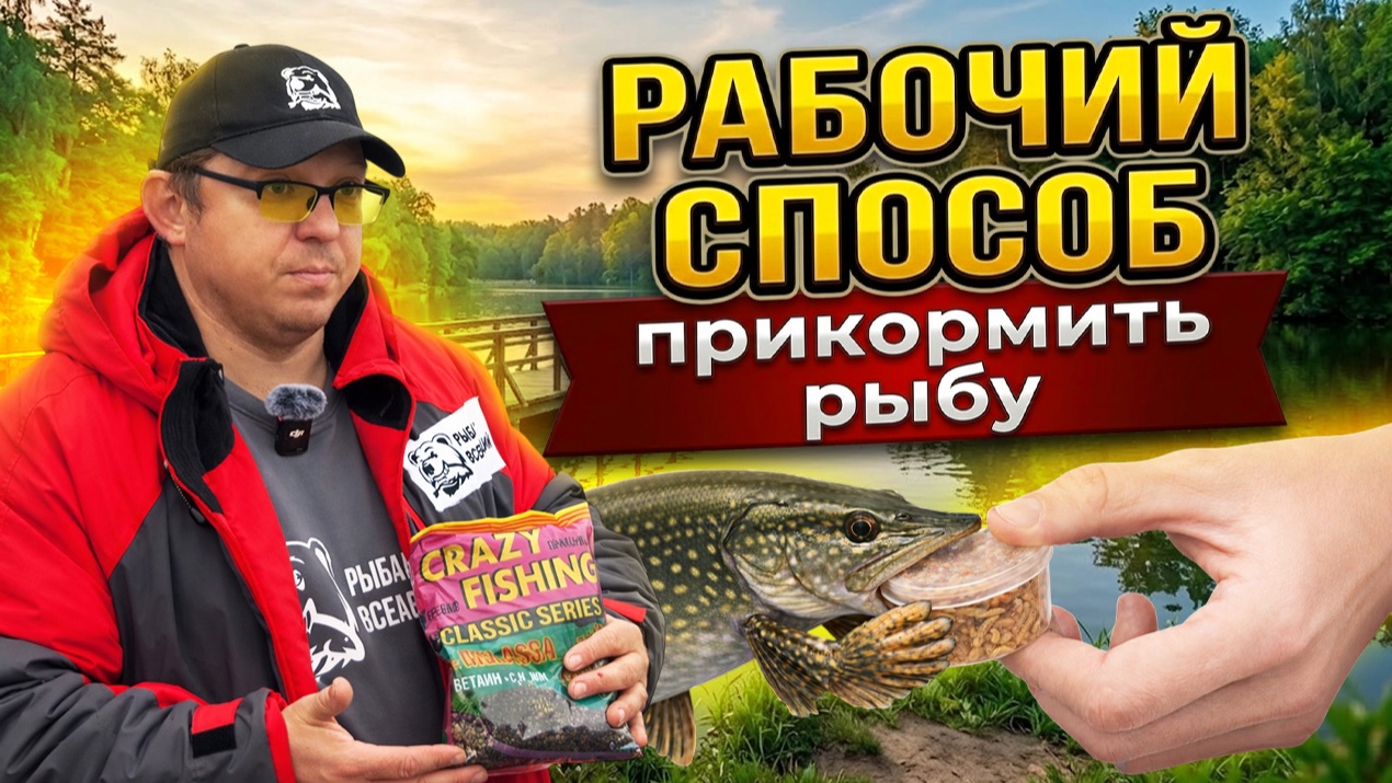 Урок 5. Какую прикормку лучше выбрать, чтобы клевало?